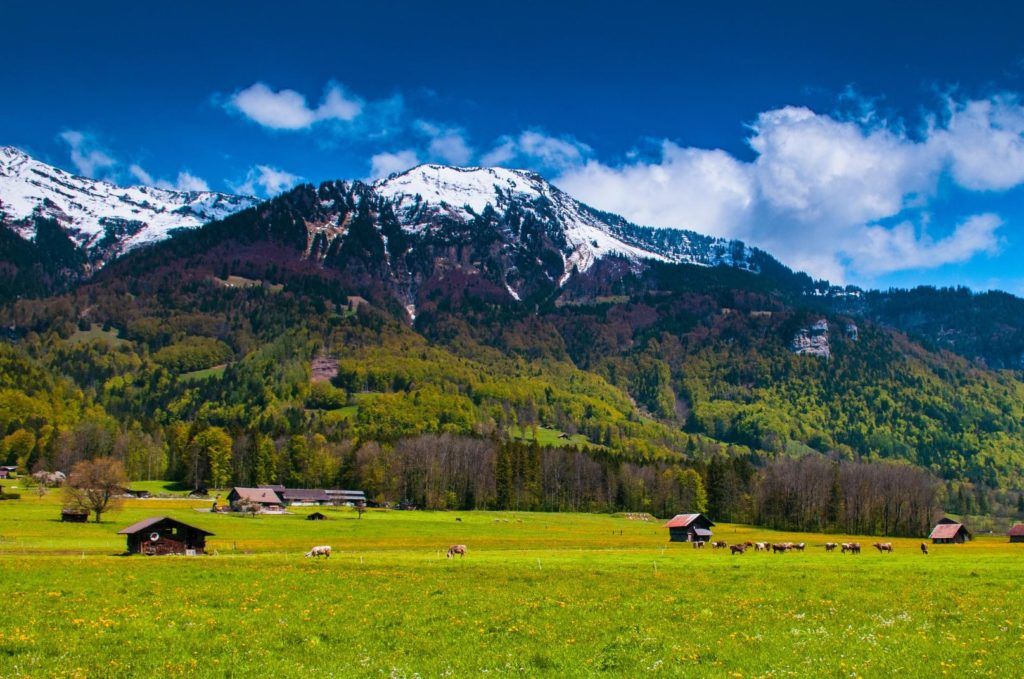 Ballenberg: Switzerland's Open-Air Museum - Lucy On Locale