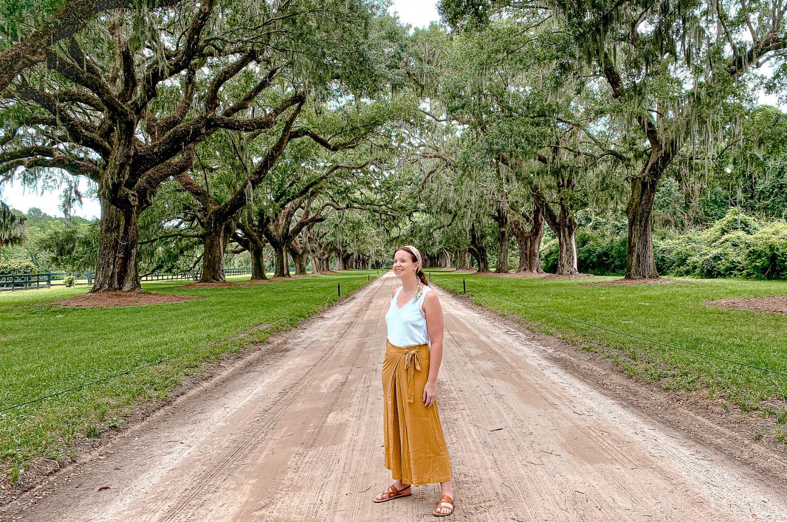 The Ultimate Charleston, SC Travel Guide - Lucy On Locale