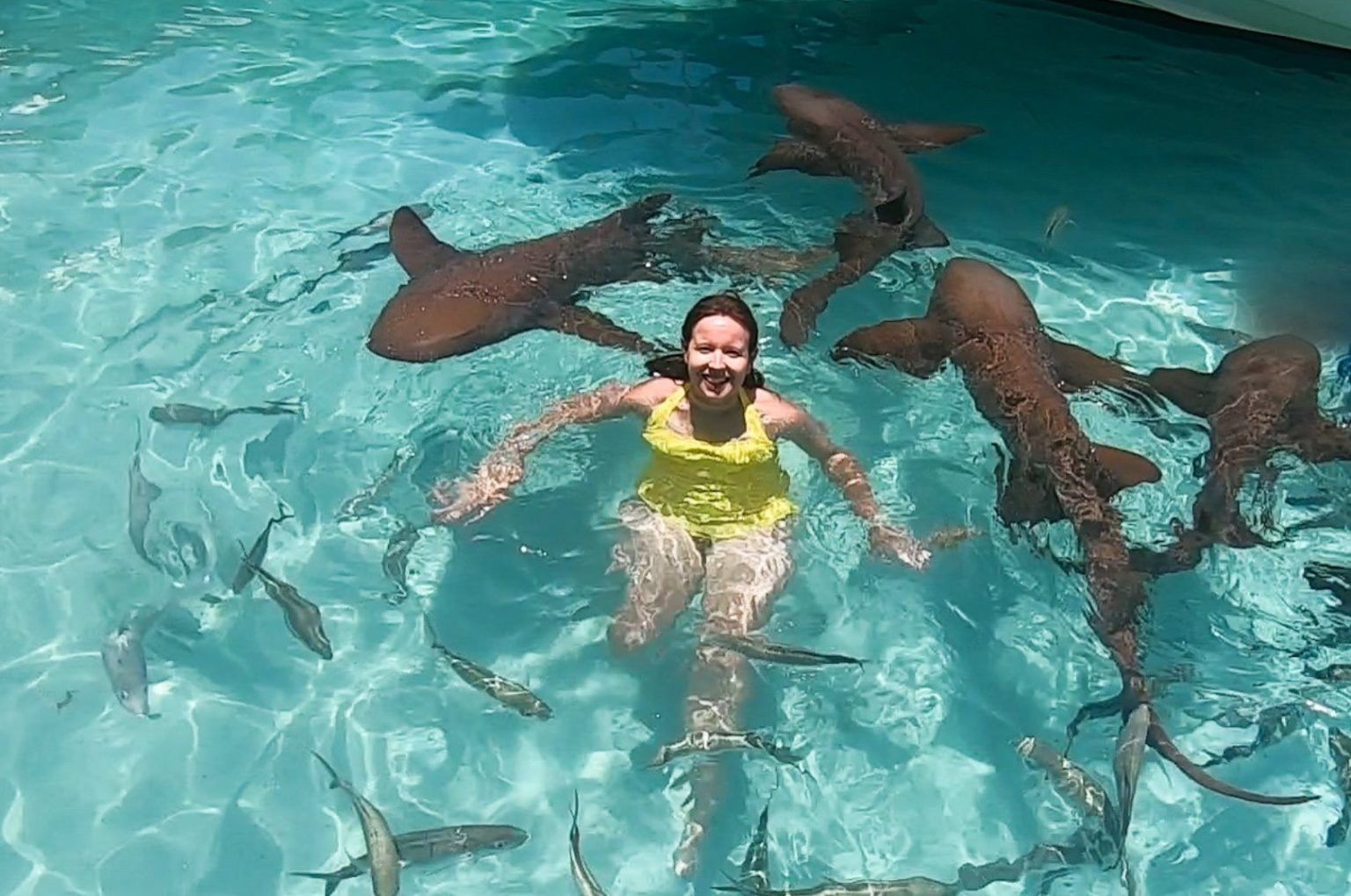 The Top 10 Things To Do In The Bahamas - Lucy On Locale