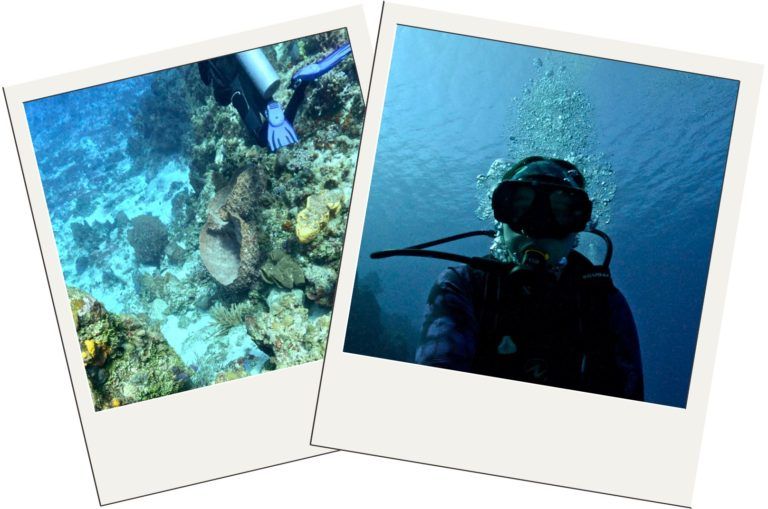 Best Places To Learn To Scuba Dive - Lucy On Locale