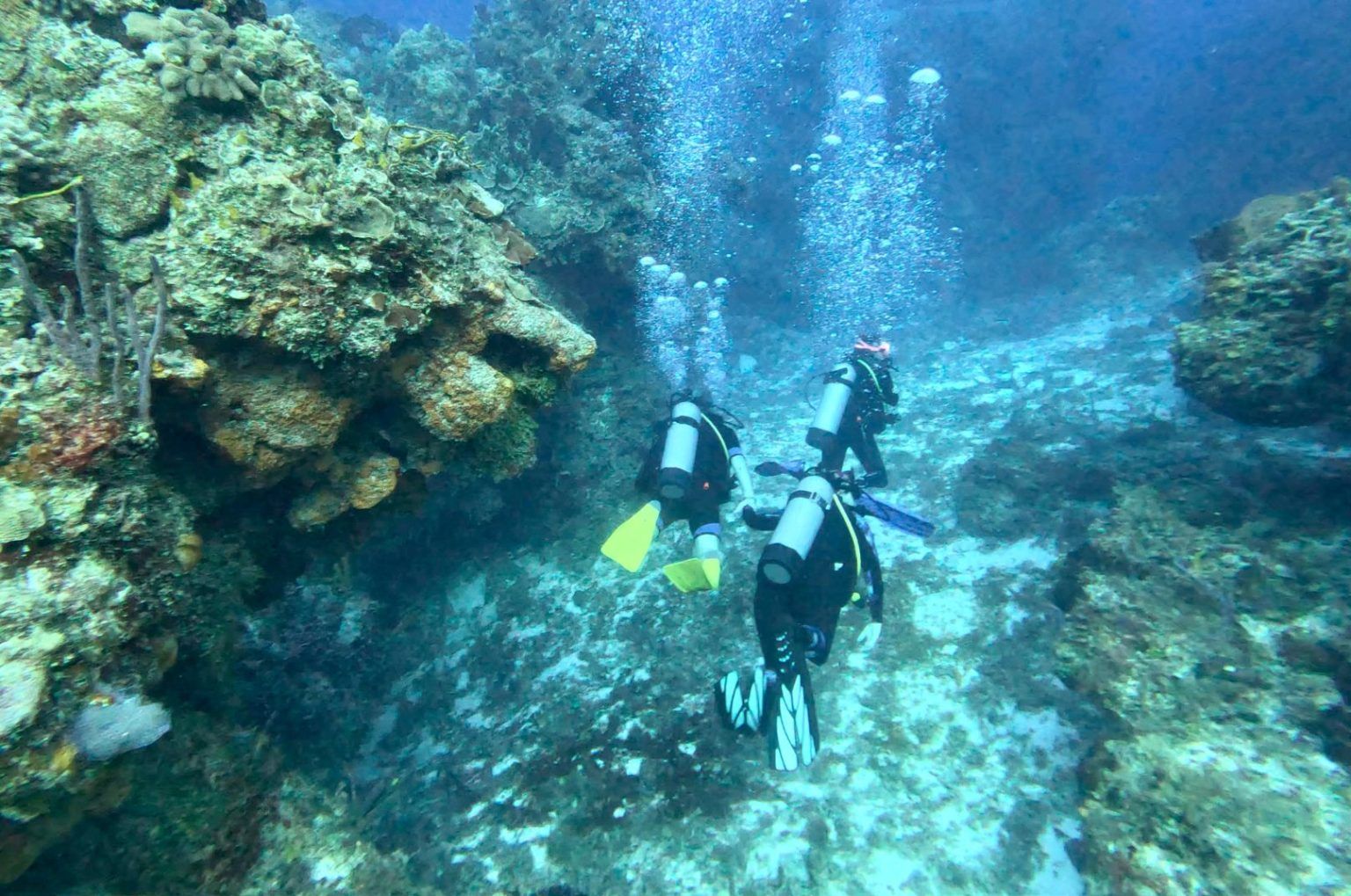 Best Scuba Diving in the World for Beginners - Lucy On Locale