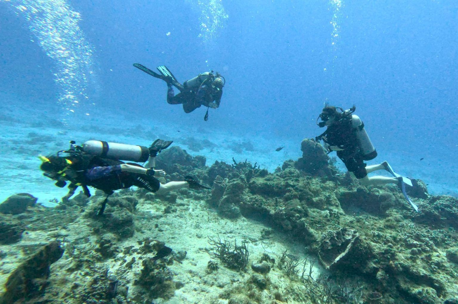 Best Places To Learn To Scuba Dive - Lucy On Locale
