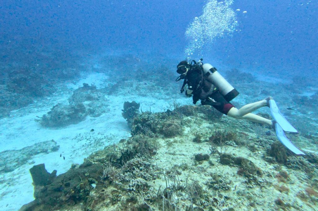 Best Places To Learn To Scuba Dive - Lucy On Locale