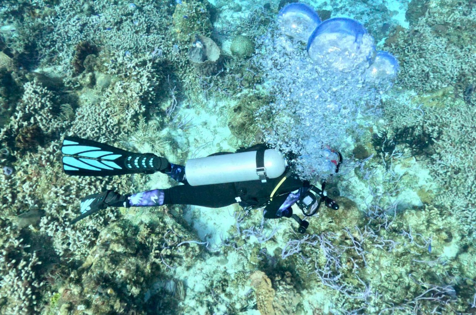 Best Places To Learn To Scuba Dive - Lucy On Locale