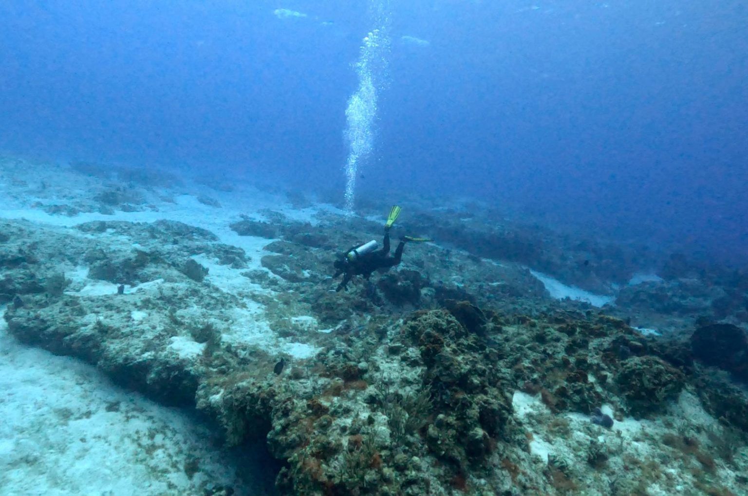 Best Places To Learn To Scuba Dive - Lucy On Locale