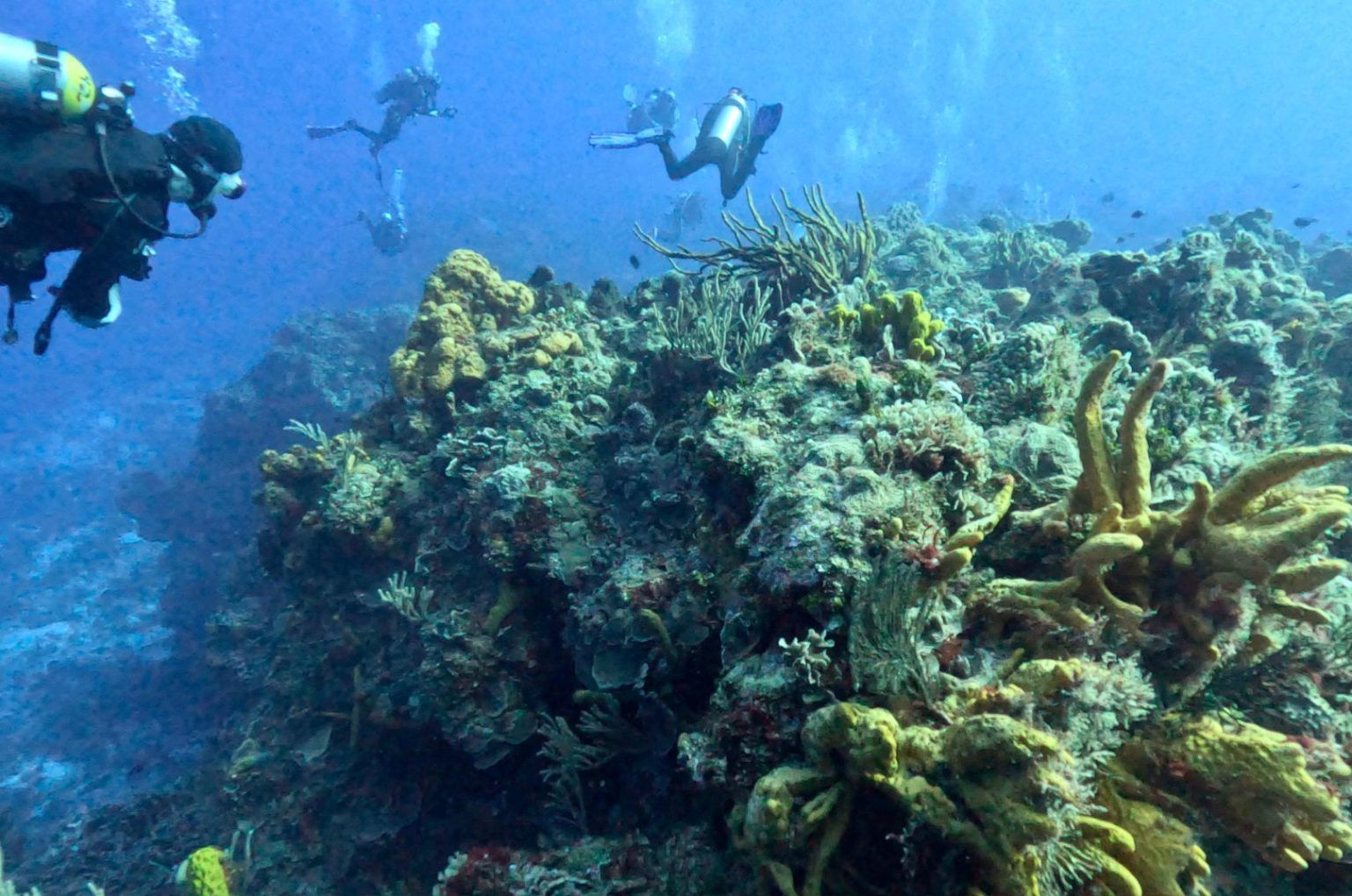 Best Places To Learn To Scuba Dive - Lucy On Locale